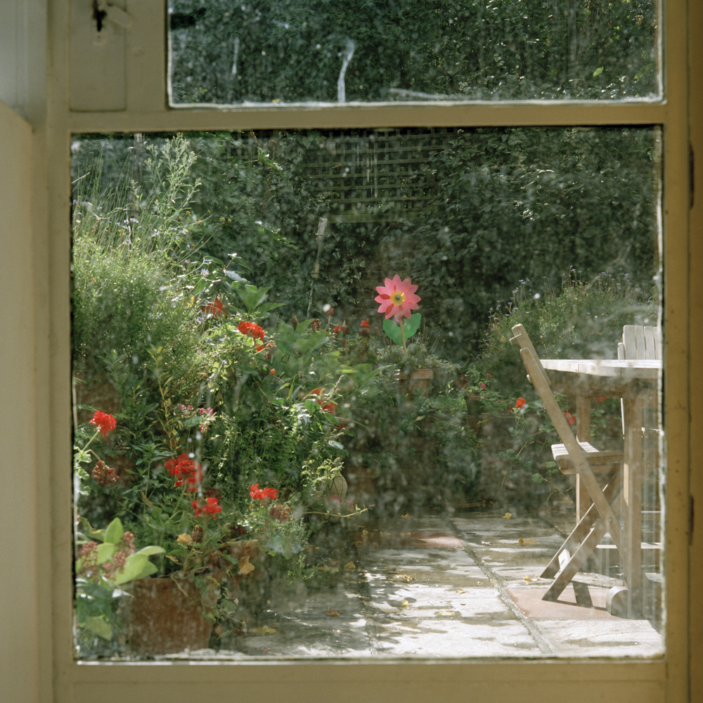 Rosie Barnes tallks about her book, 'Understanding Stanley - Looking ...